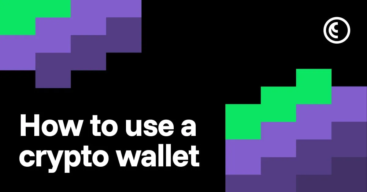 How to Use a Crypto Wallet for Business with CryptoProcessing