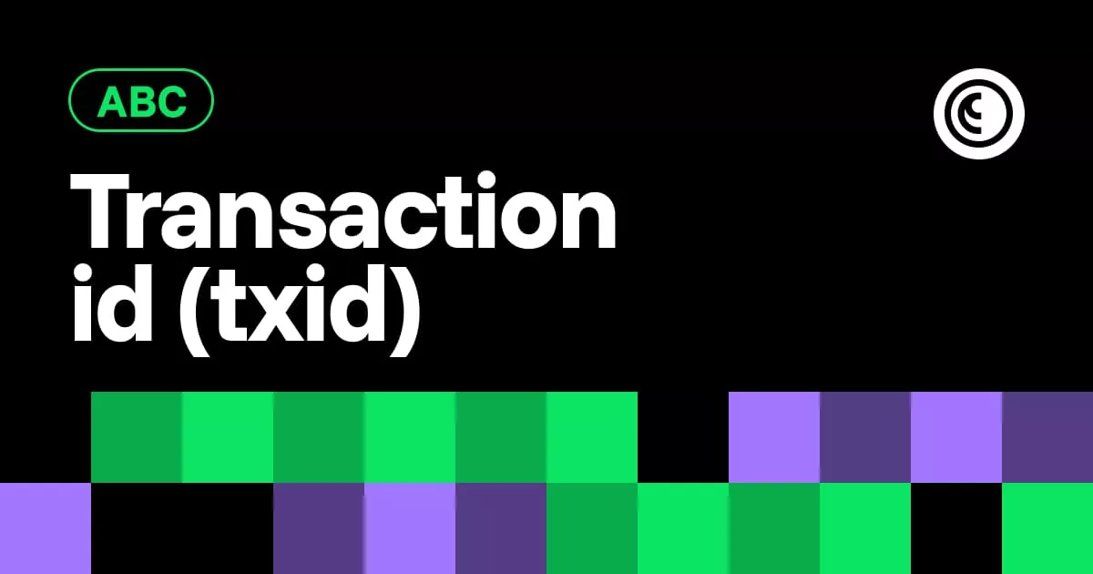 What Is a Transaction ID (TXID) in Crypto? How It Works and Why It Matters